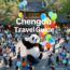 Ultimate Guide to Chengdu Panda Base: Research Base of Giant Panda ...
