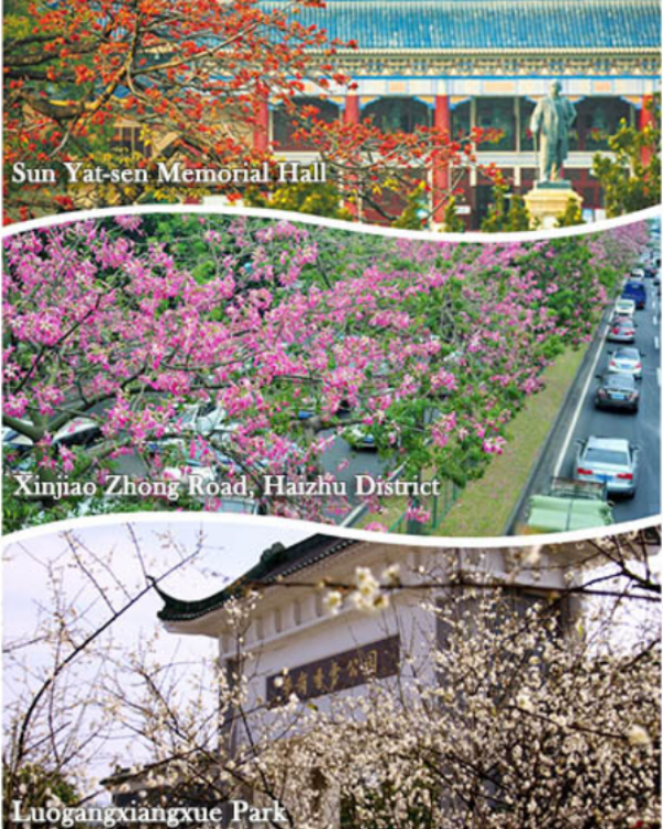 Ultimate Guangzhou Travel Guide: Explore Attractions And Tourism Tips ...