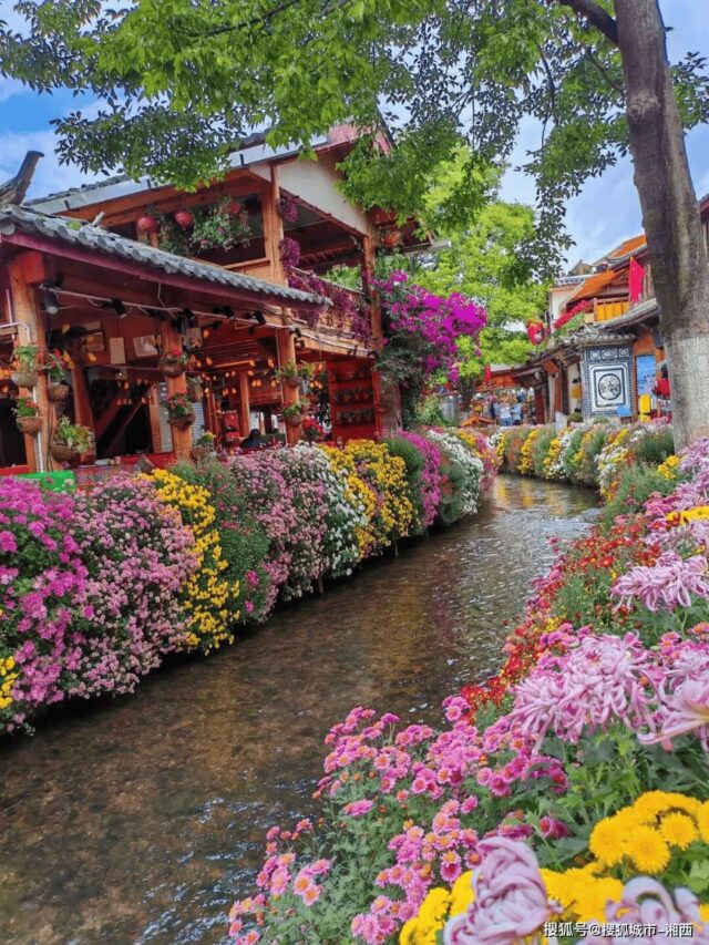 Erhai Lake: Explore Four Seasons of Alpine Beauty, Cycling Loops & Bai ...