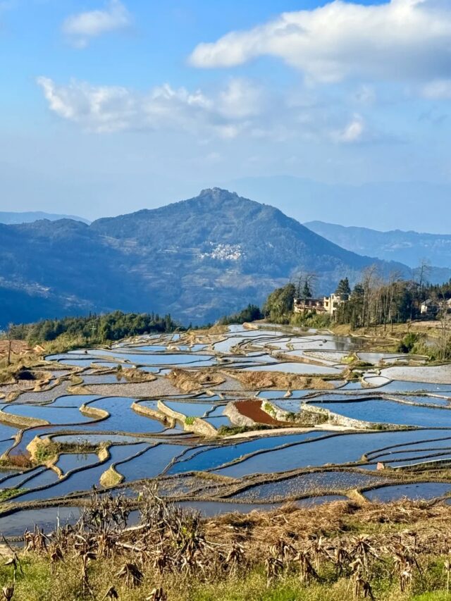 Yuanyang Rice Terraces Yunnan: China’s Most Breathtaking Living ...