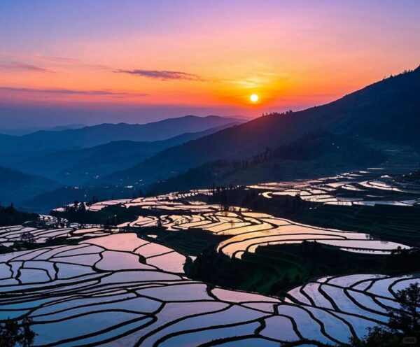 Yuanyang Rice Terraces Yunnan: China’s Most Breathtaking Living ...