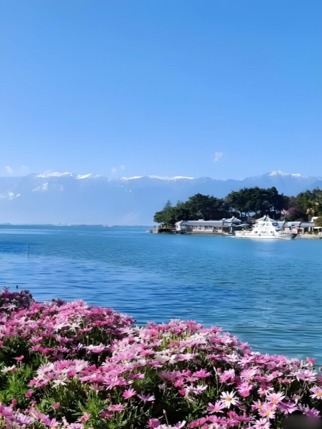 Erhai Lake: Explore Four Seasons of Alpine Beauty, Cycling Loops & Bai ...