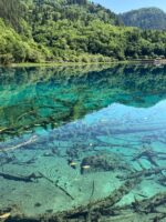 Five Color Lake of Jiuzhaigou: The Unfrozen Rainbow Wonder of Sichuan ...