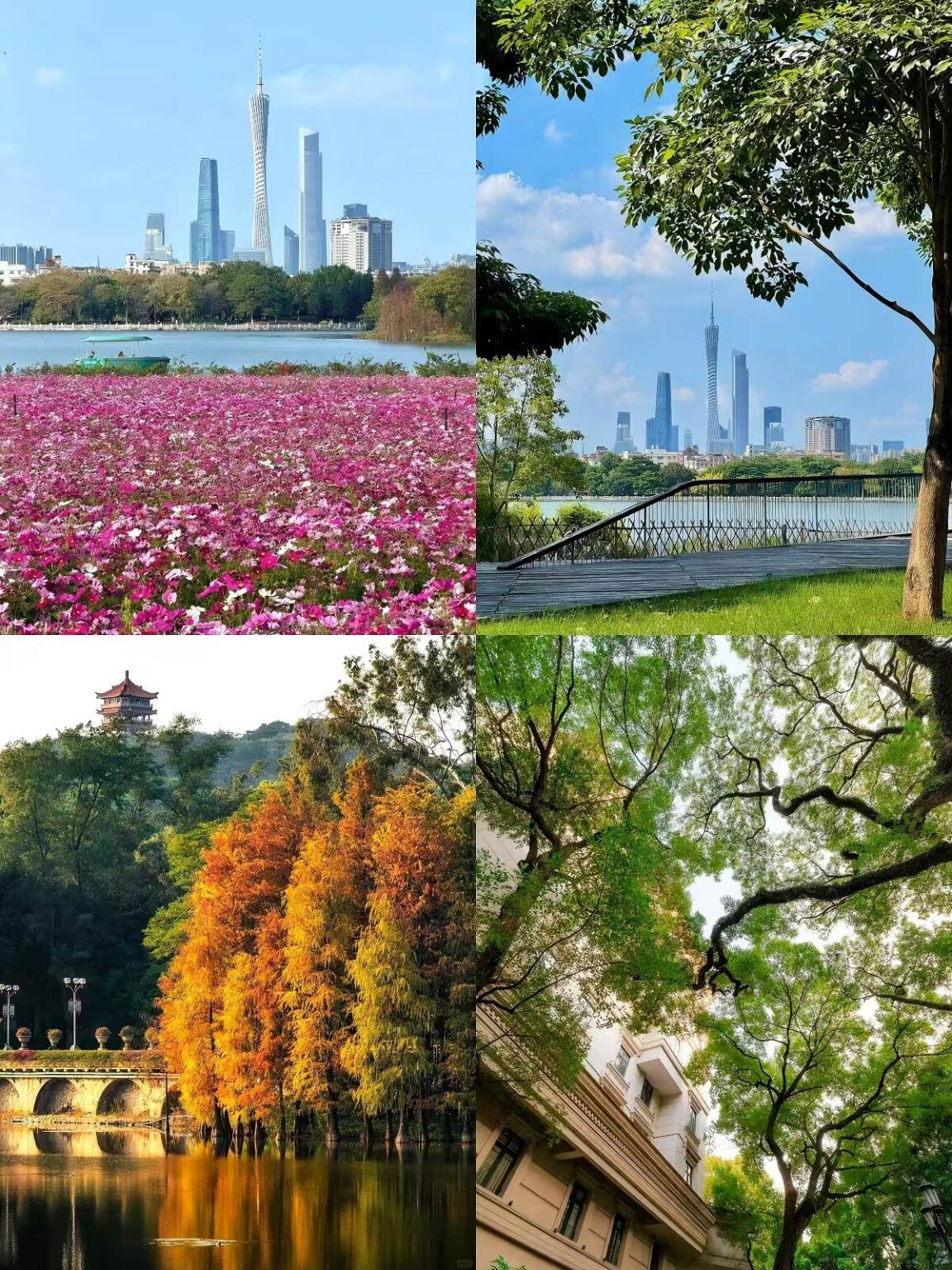 Best Time to Visit Guangzhou for Comfortable Weather, Fewer Crowds and ...