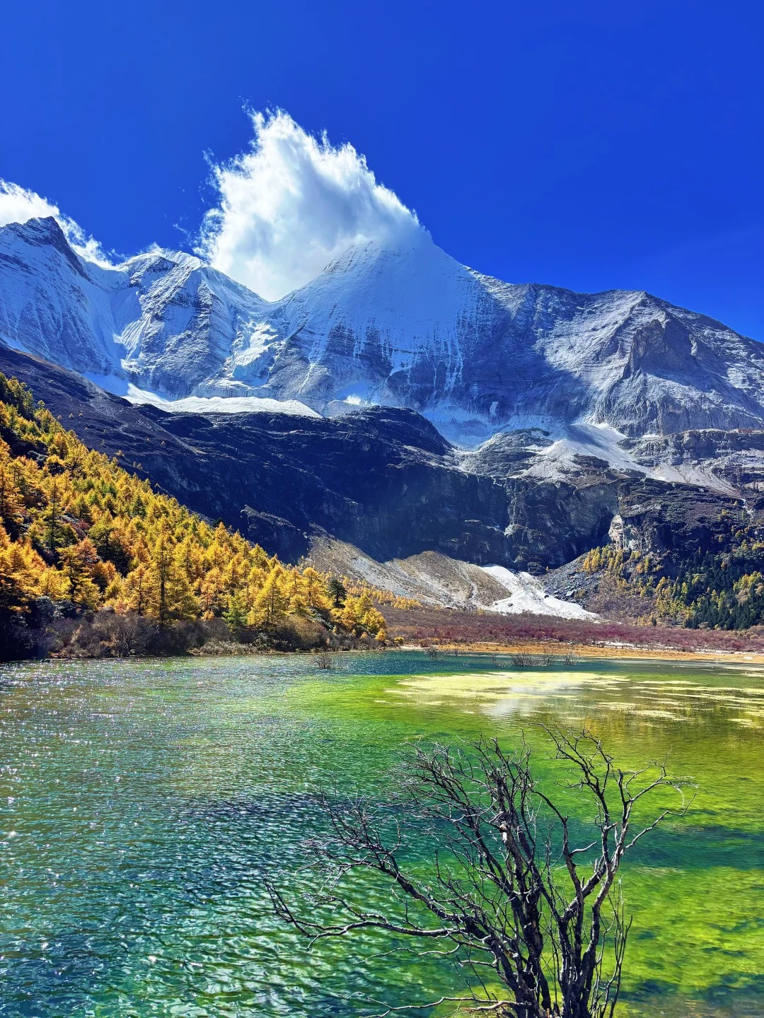 Five Color Lake of Jiuzhaigou: The Unfrozen Rainbow Wonder of Sichuan ...